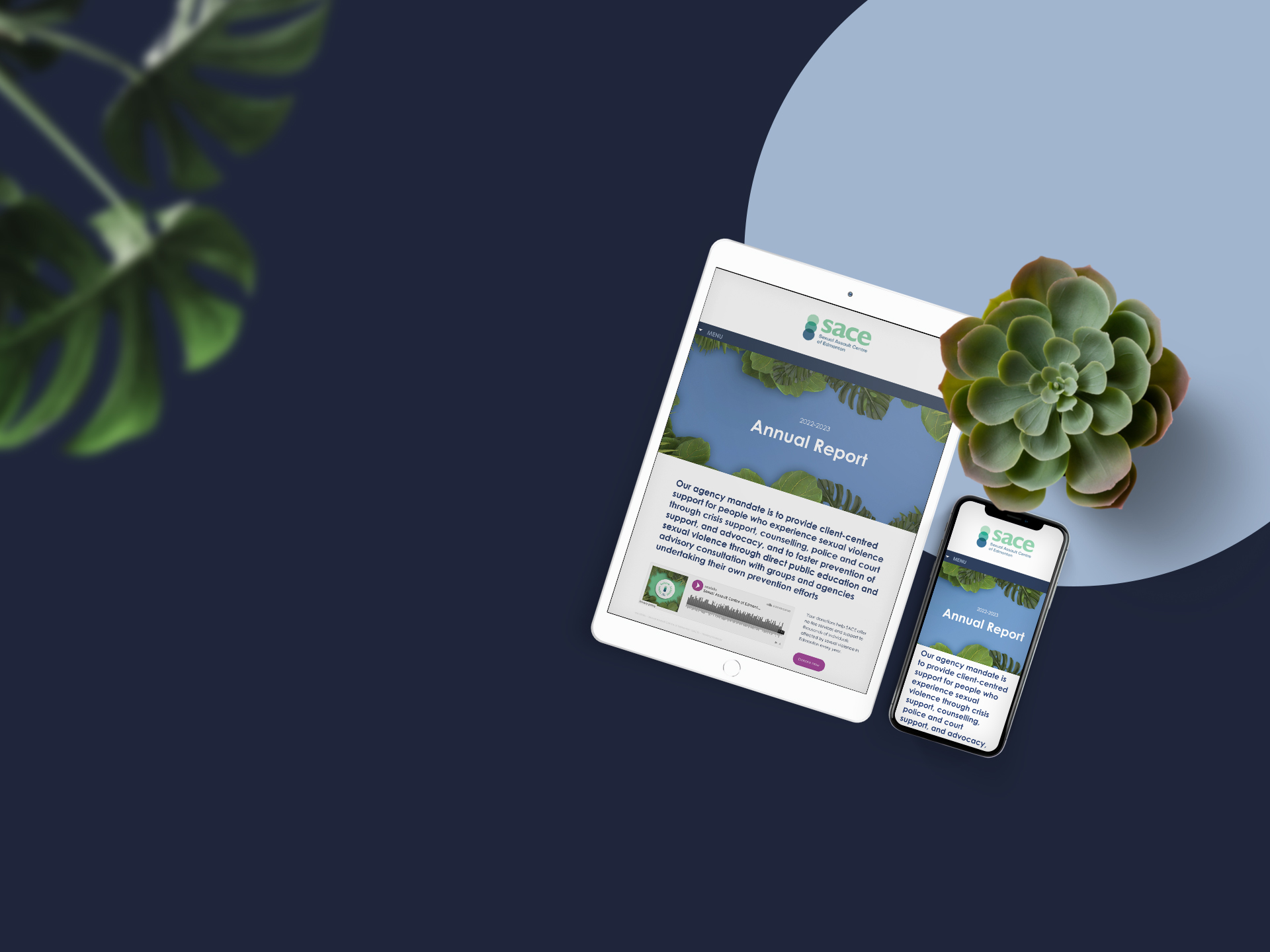 Sexual Assault Centre Of Edmonton